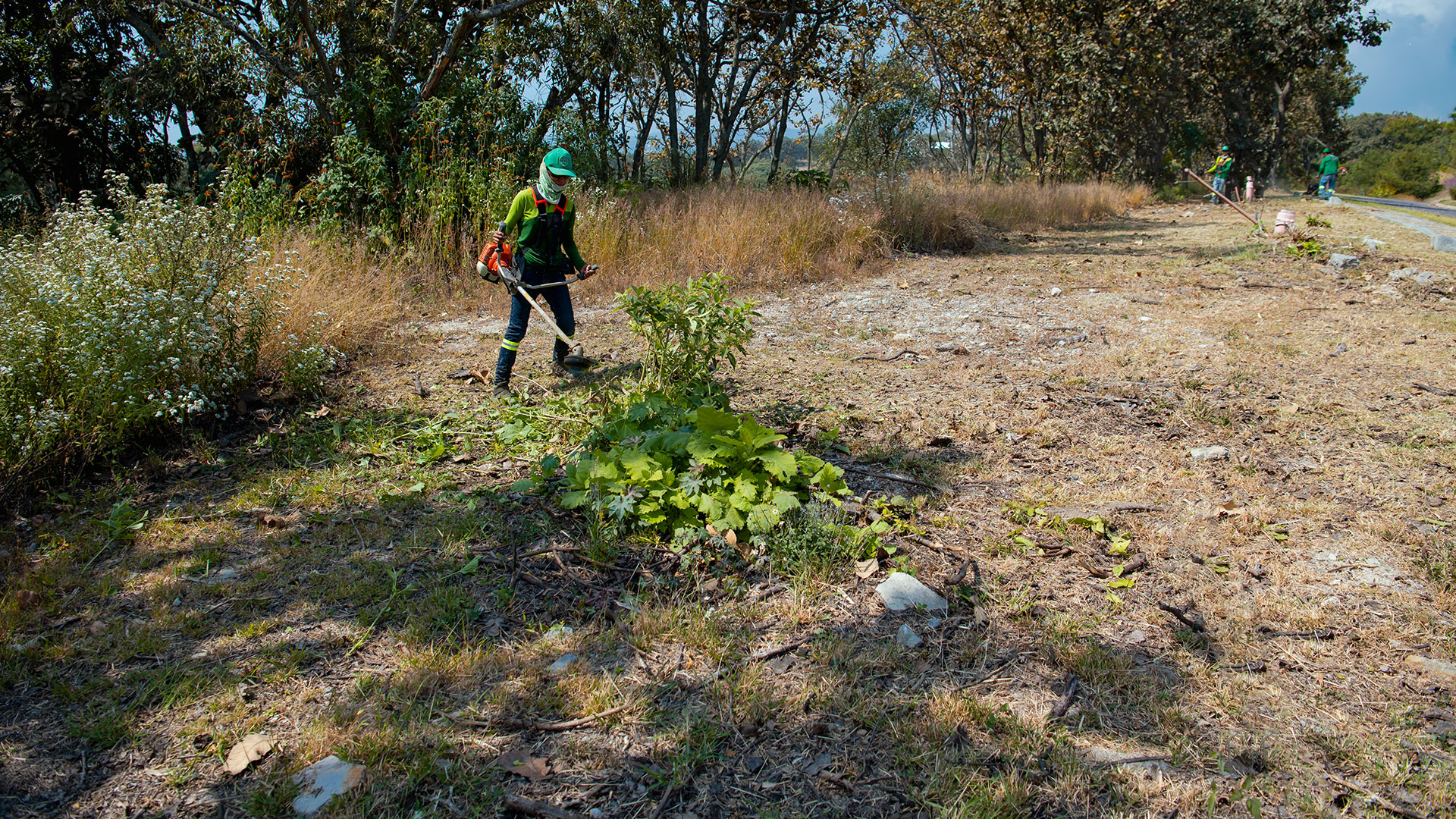 Limpieza de terrenos - GARDANIA Jardineria y Mantenimiento